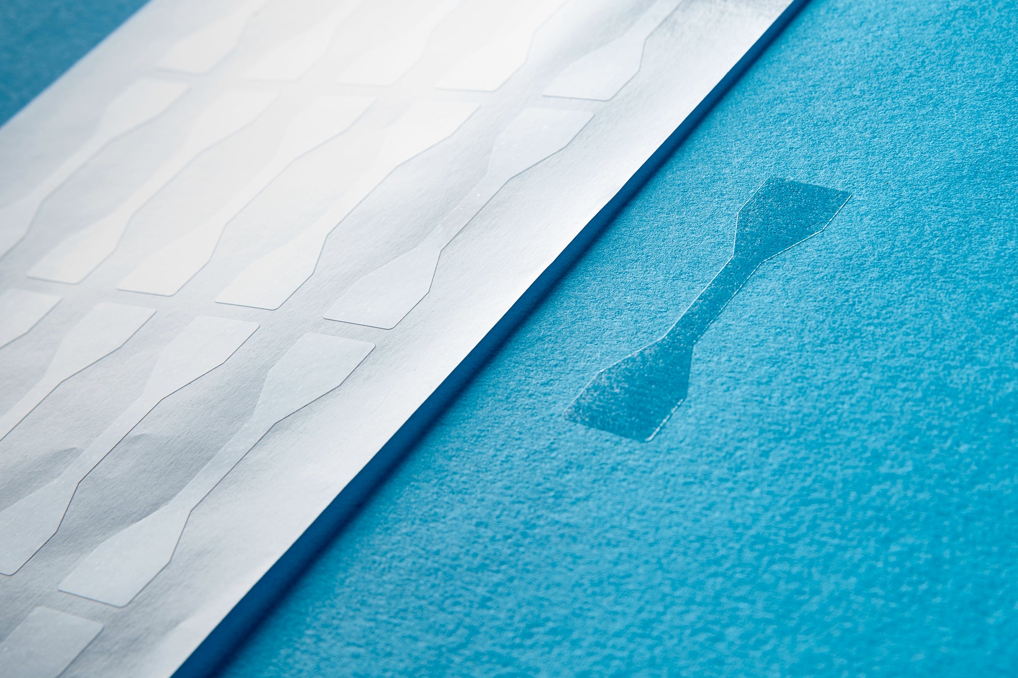 Paper Bone Shaped Tabs 4k Roll